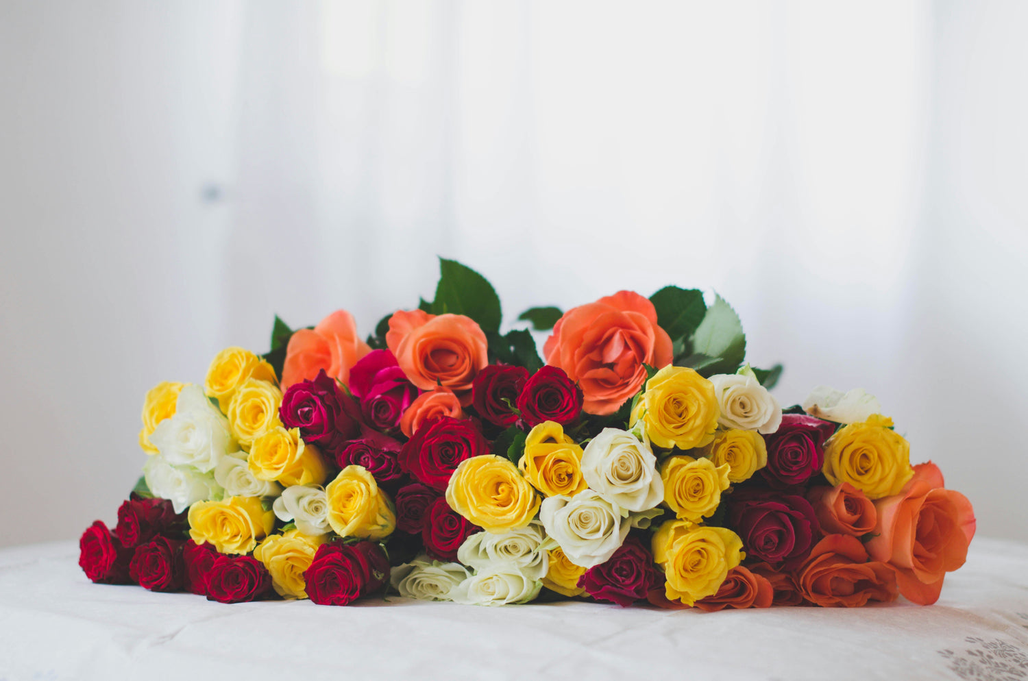 Expert Tips: How Long Do Roses Last For and Stay Fresh?