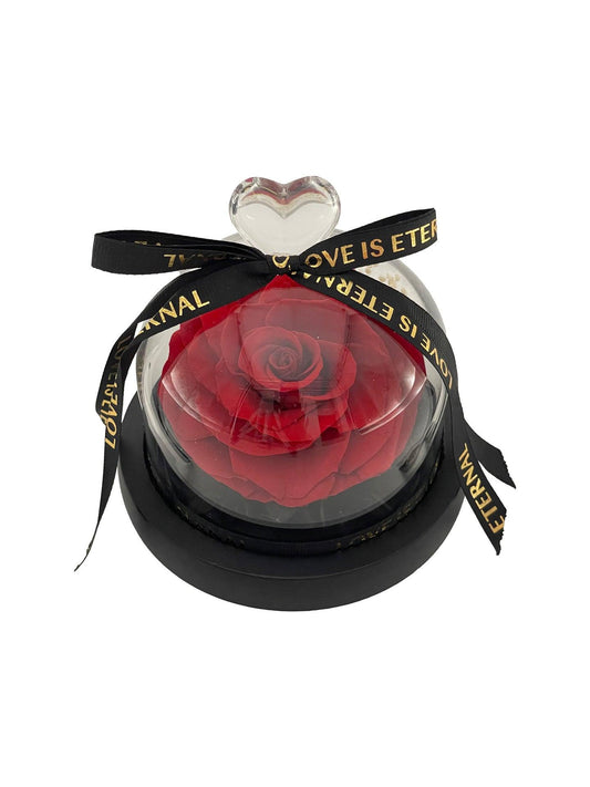 Melbourne delivery: Illuminated Eternal Love Rose in a glass dome with ...